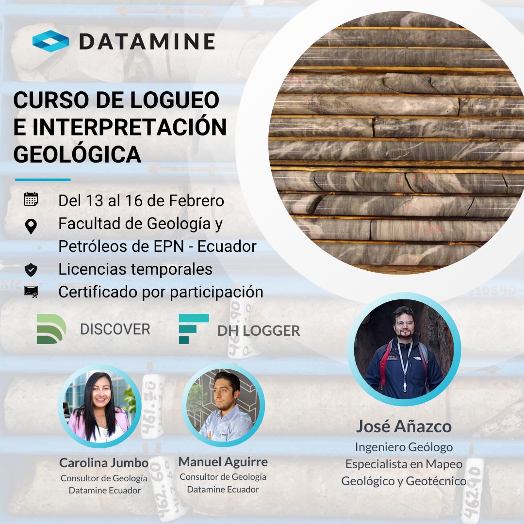 Datamine Logueo Interpretación Geológica